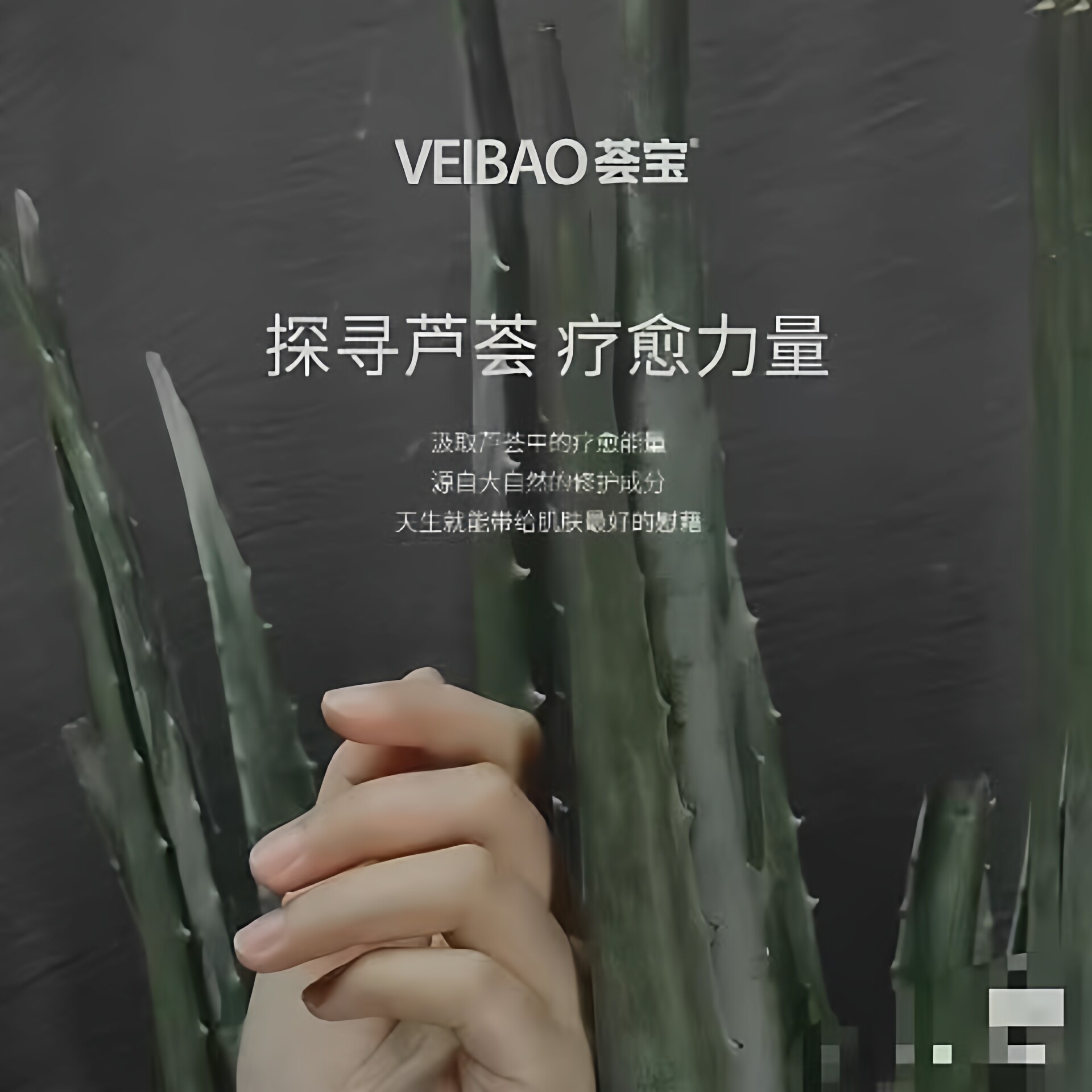 荟小宝芦荟庄园实体店
