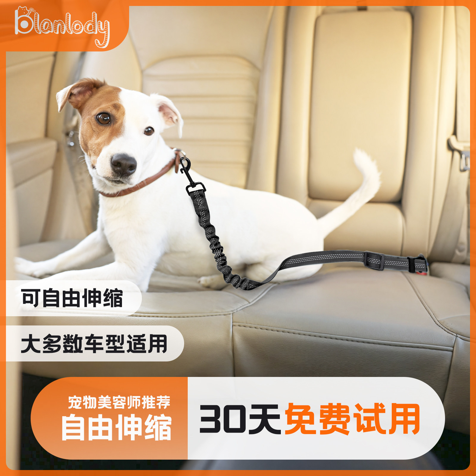 Blanlody pet security belt: no more worries about taking your pet with ...