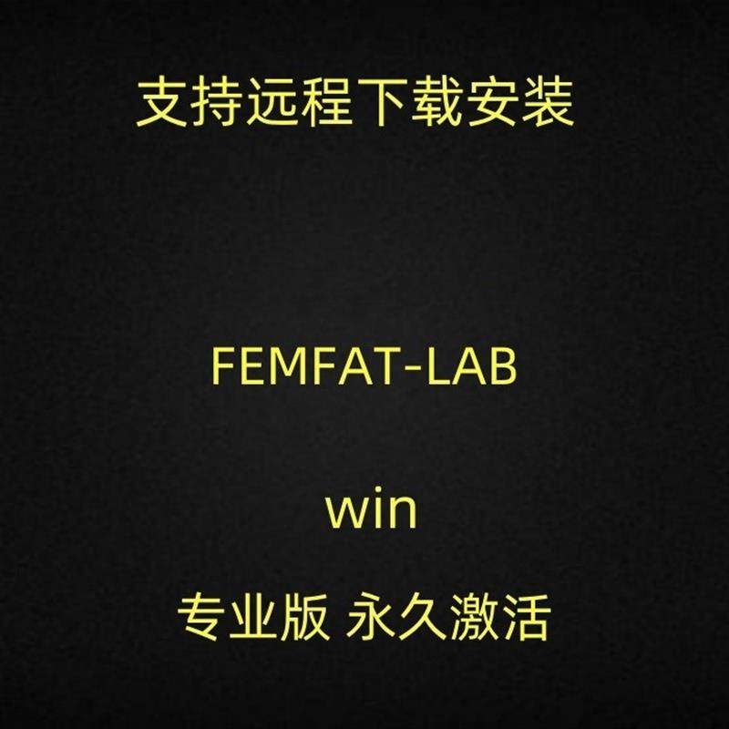 25年最新款ECS FEMFAT-LAB 4.0深度测评！工程师必入疲劳分析神器🔥-工具套装-淘宝好物网