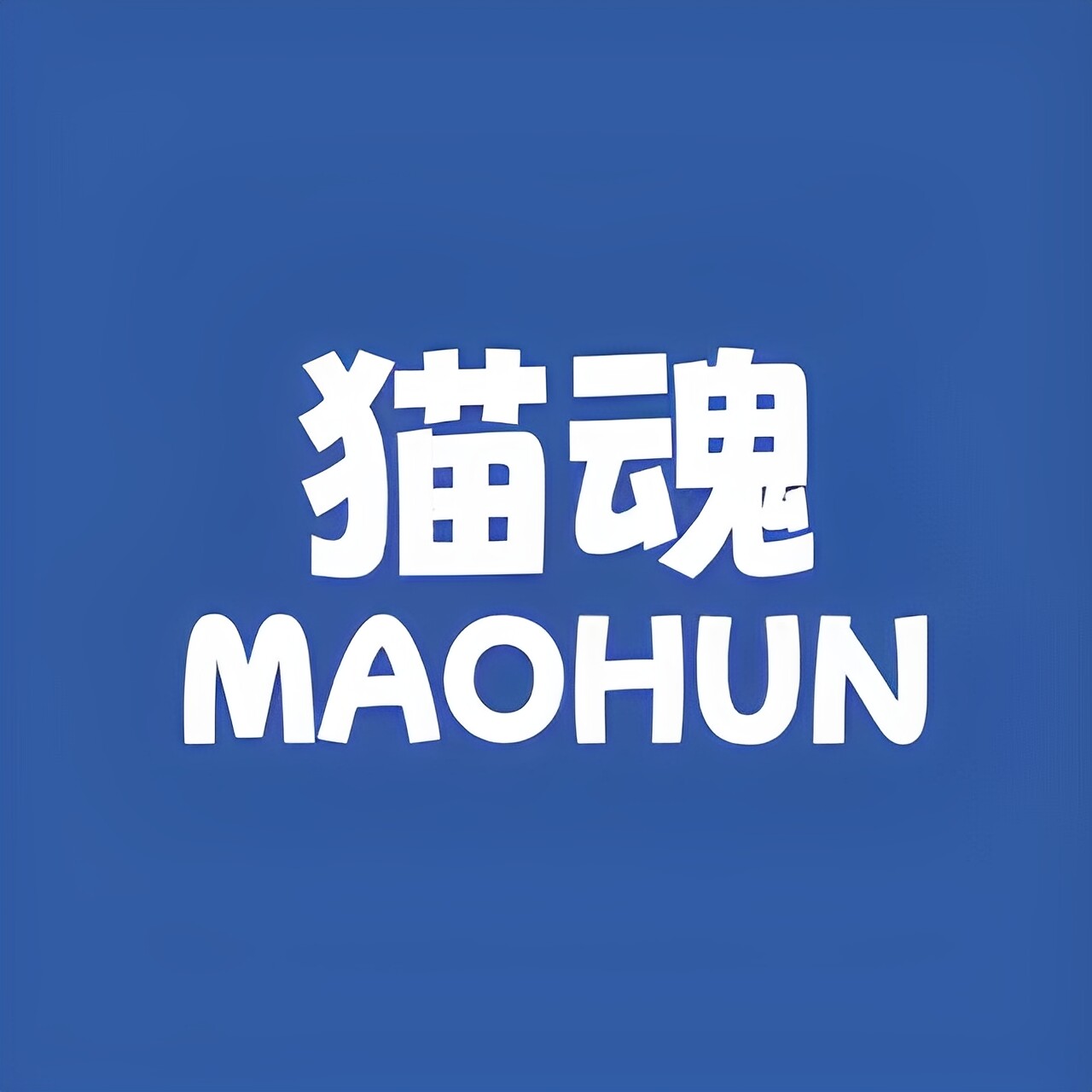 猫魂潮玩相机