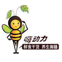 嗨动力旗舰店