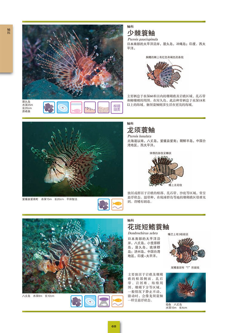 [USD 24.49] Seawater Fish Big Graphic 1000 Deep Sea Fish Growth Graphic ...