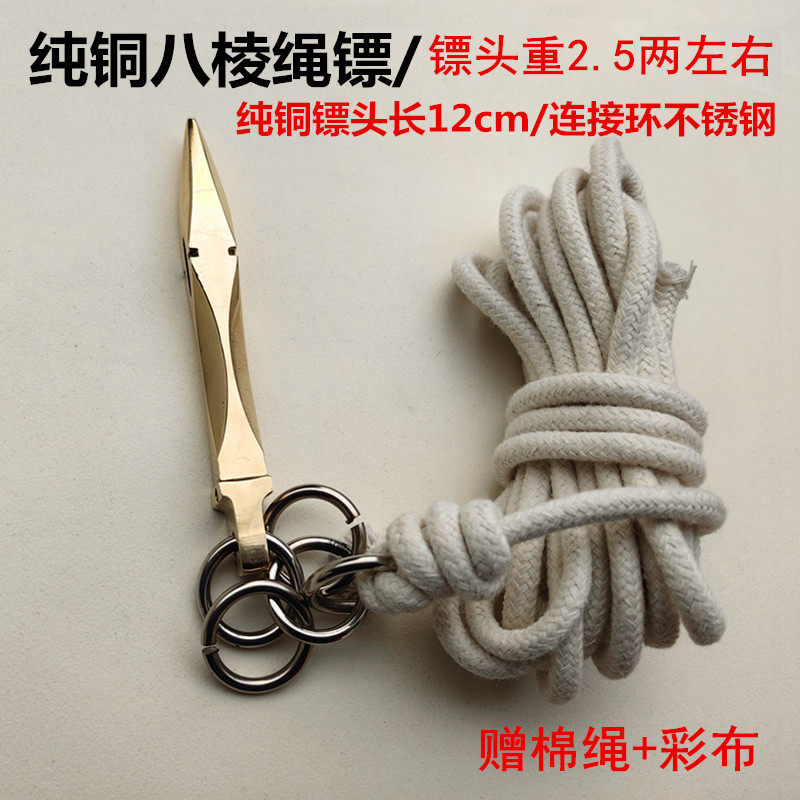 Stainless steel rope dart dart actual combat martial arts performance ...