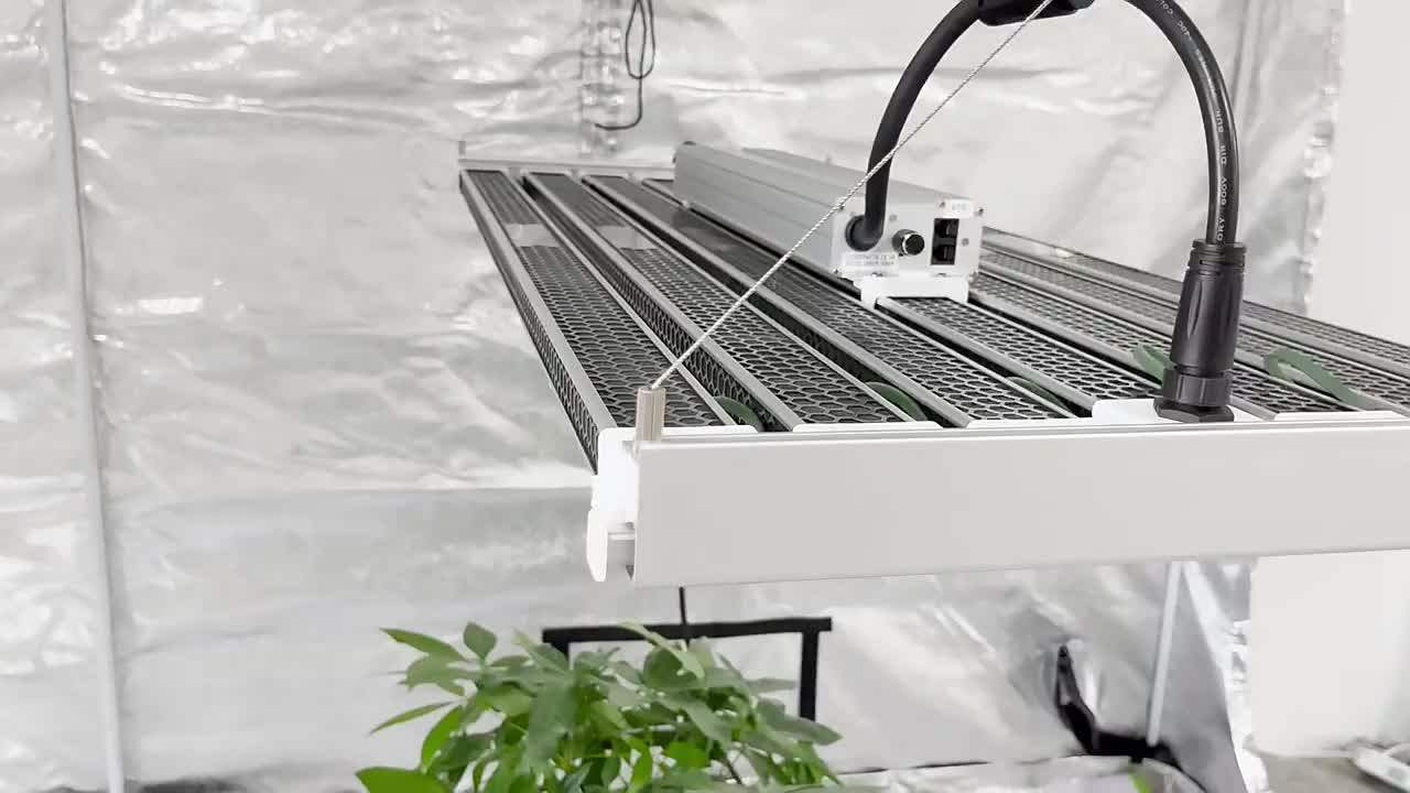 Pvisung 1000w High Ppfd Grow Light Led High Efficacy With 7 Strips ...
