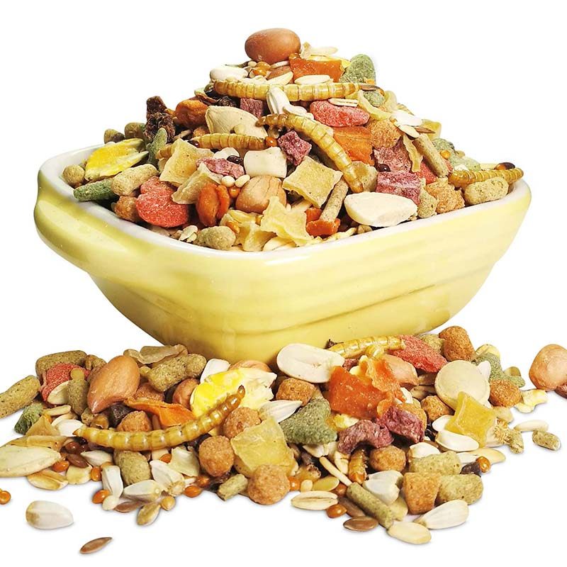 Купить Alice elmo ребенок хомячки Зерно 450G Мао Мао формула хомячки ...