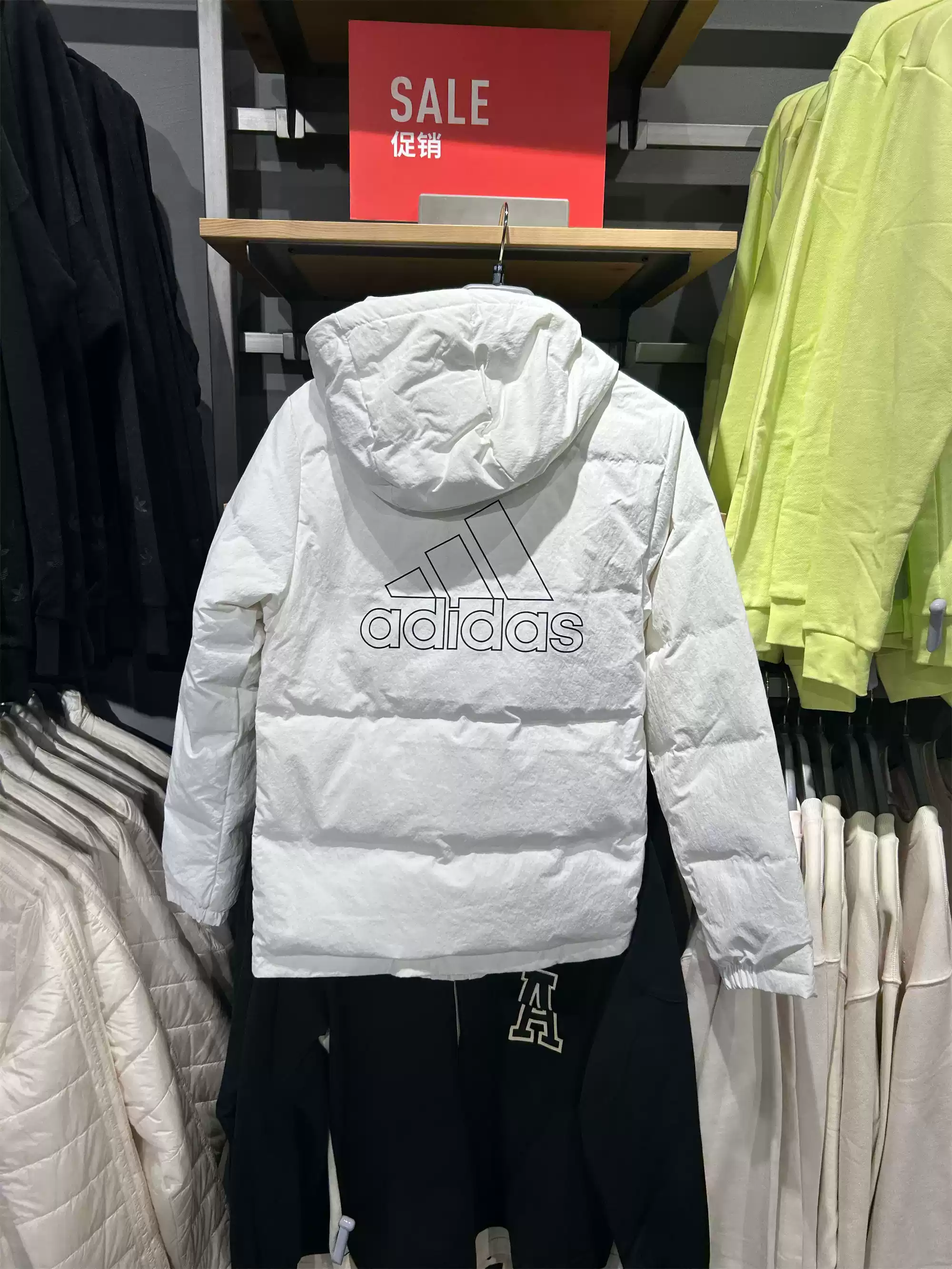 正品Adidas阿迪达斯REGULAR DAILY DOWN男子保暖羽绒服外套IZ4884