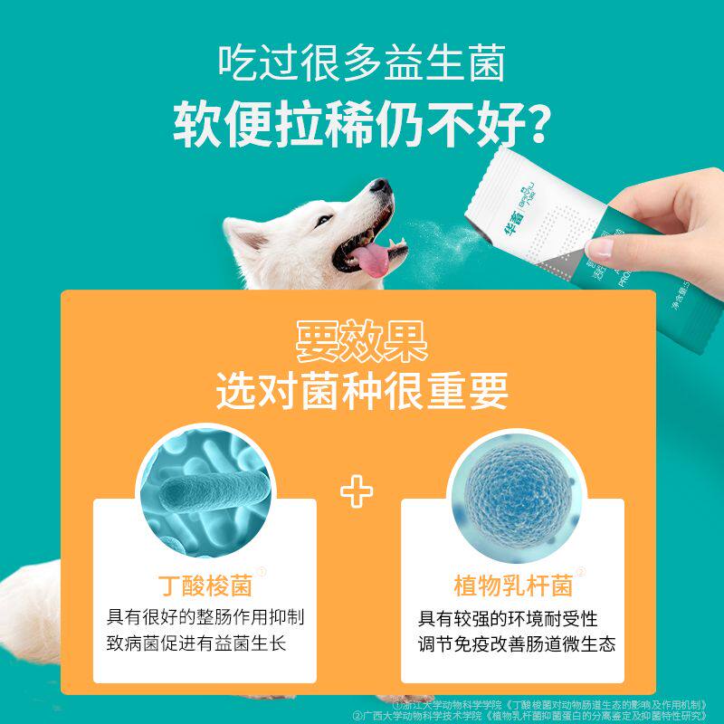 宠物猫狗益生菌肠胃宝：告别呕吐拉稀，泰迪幼犬猫咪肠胃调理神器！-狗营养膏-淘宝好物网