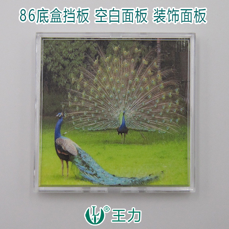 Type 86 wall switch panel blank panel whiteboard baffle cassette cover ...