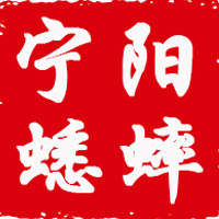 宁阳野生蟋蟀