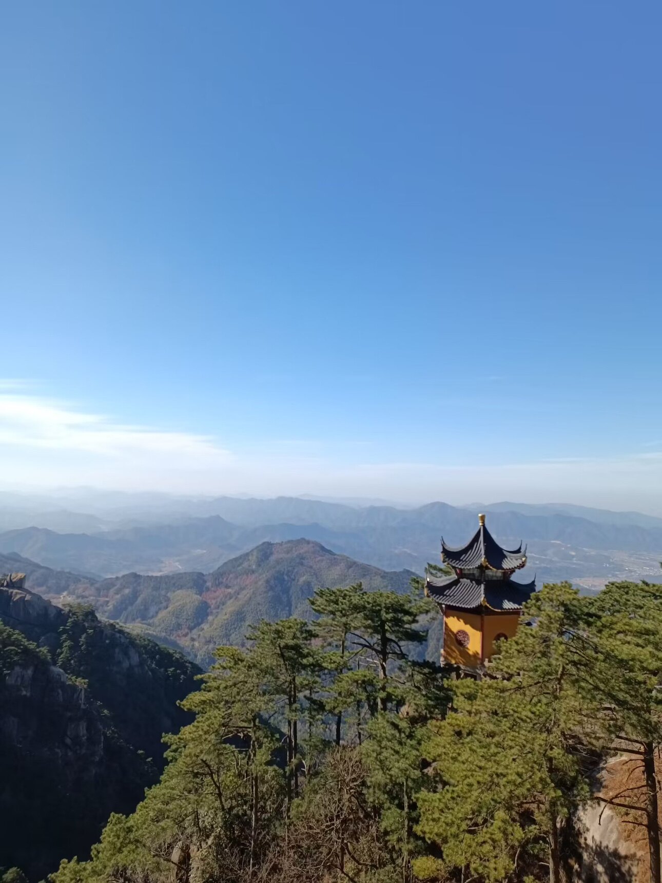 安徽特产马蹄荸荠