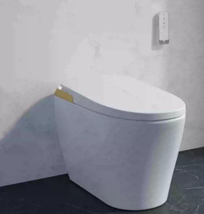 德国唯宝智能体坐便器V06CE301 V07CH301 V08ch301 v03C4001马桶-Taobao