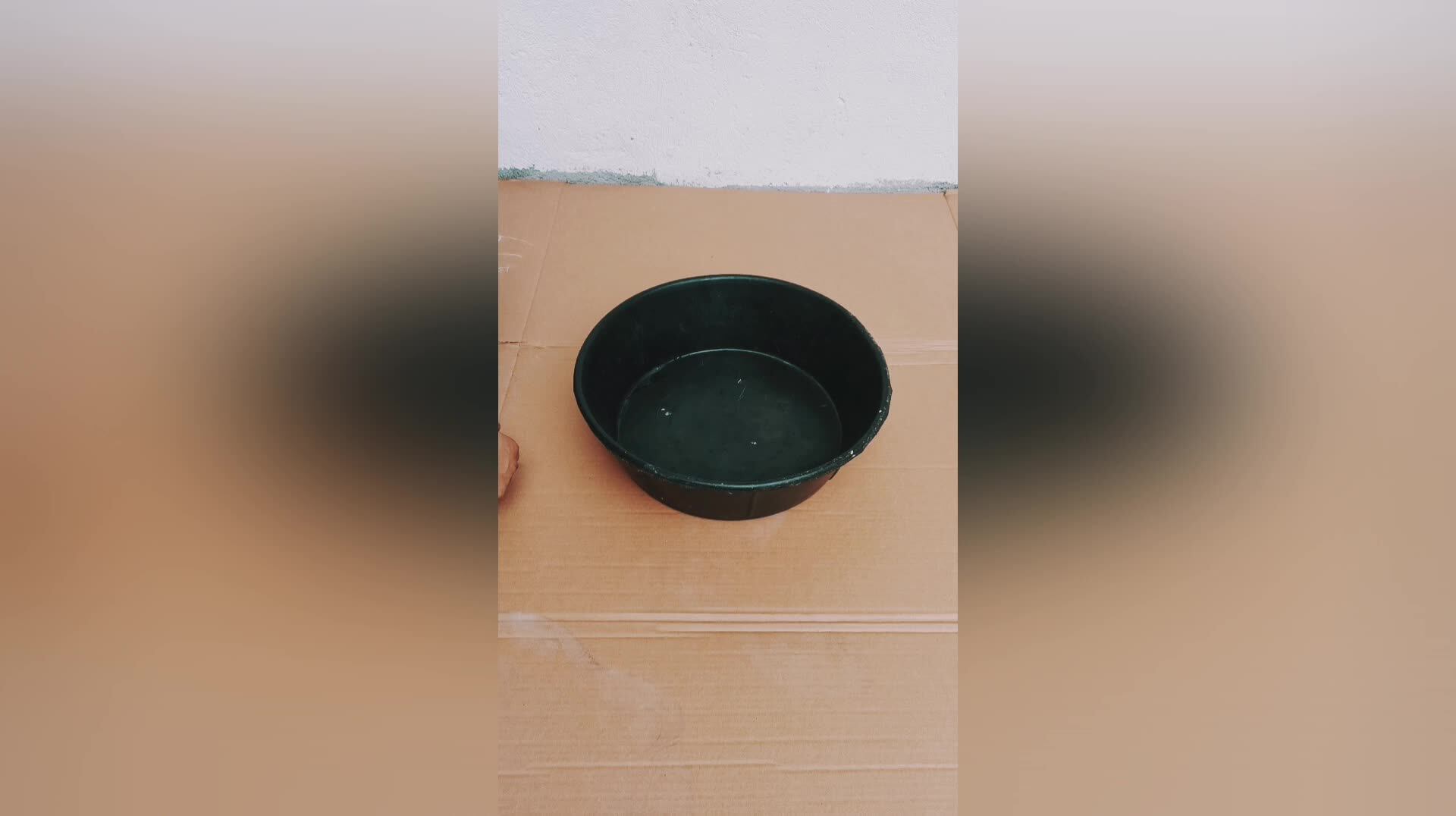 Rubber Pan,Small Rubber Feed Trough,Rubber Tubs,Feeding Pan 3-gallon ...