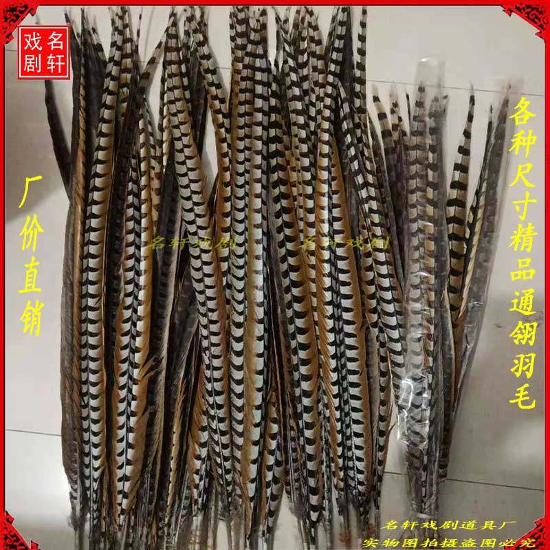 A must-have for peking opera costumes! natural pheasant feathers ...