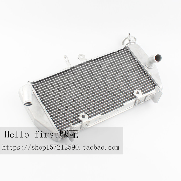 Yamaha yzf-r25/r3 2015-2024 radiator assembly upgrade: your cooling ...