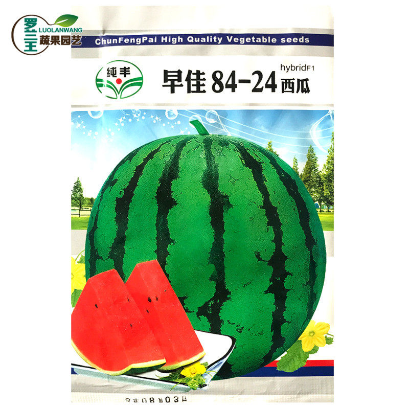 [Zaojia 8424 watermelon seeds] Kirin watermelon seeds early maturity ...