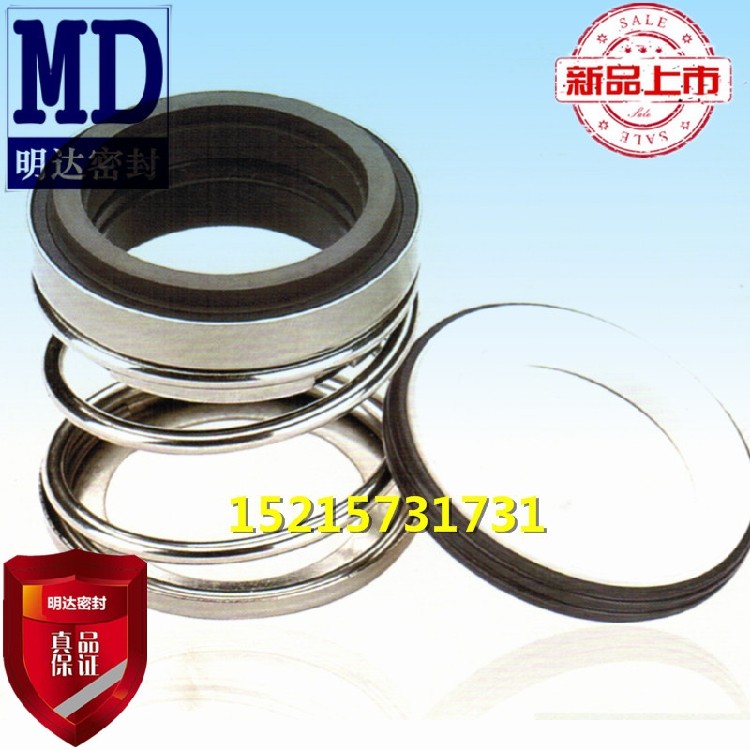 Inlet end Mechanical seal MS01-MG912 50-G60-BQ1EGG BURGMANN