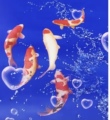 水晶之恋美妆护肤馆