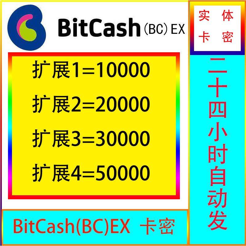 日本bitcash BX充值卡：购物狂人的终极福利！10000/20000/30000/50000点券自动发货，让你买不停！-任天堂eshop-淘宝好物网