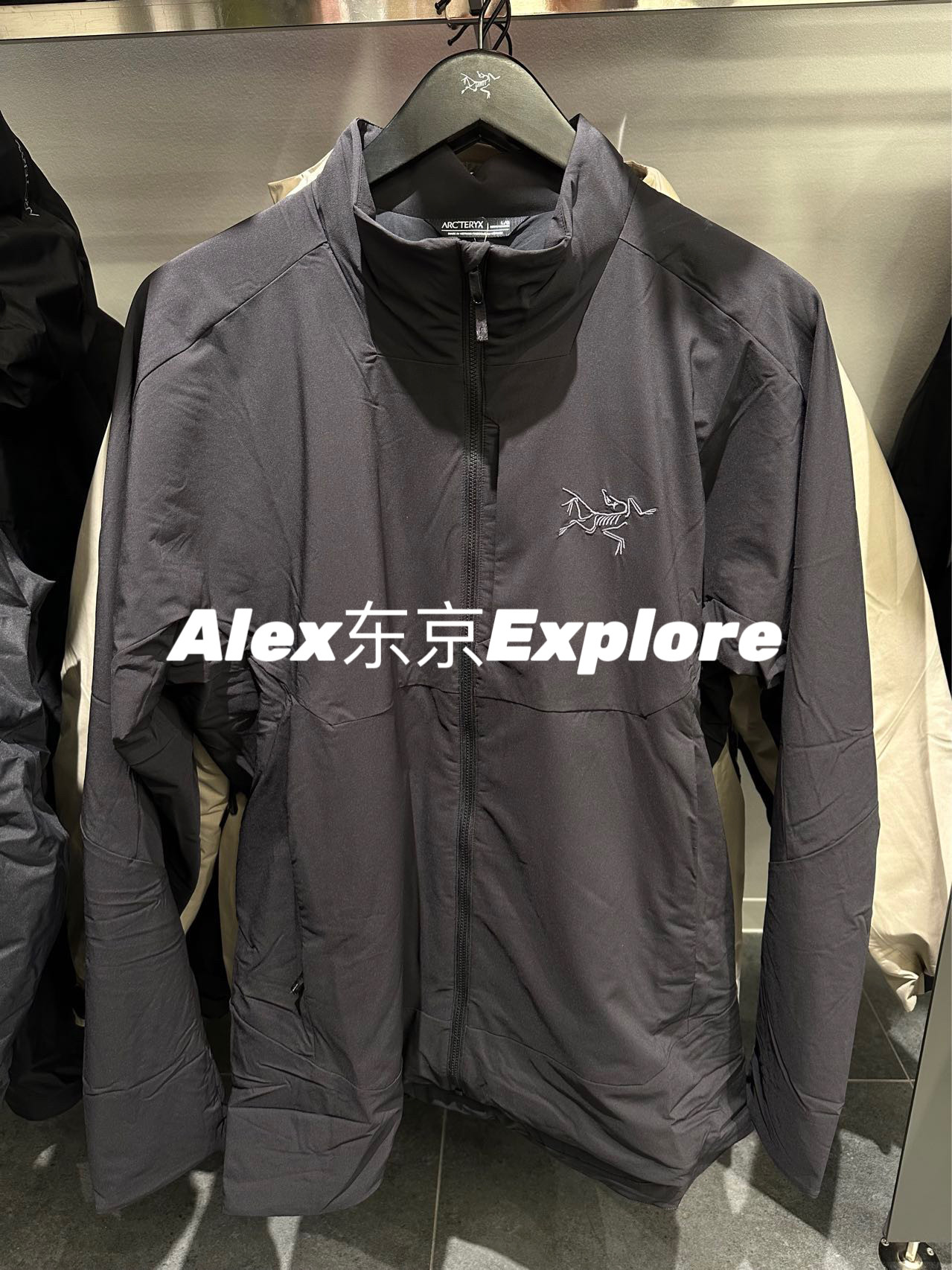 ARC'TERYX始祖鸟Allium Insulated Jacket：男士户外立领棉服，你的冬季户外时尚新宠！-保暖棉衣-淘宝好物网