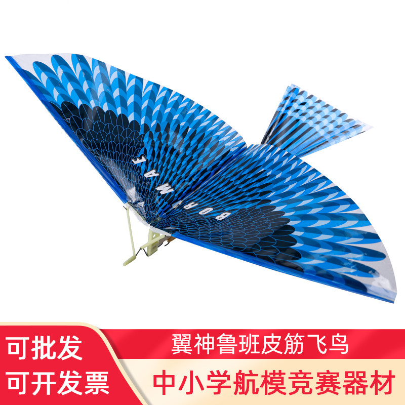 🏆 Flying bird model glider aircraft toy – spark a love of science in ...