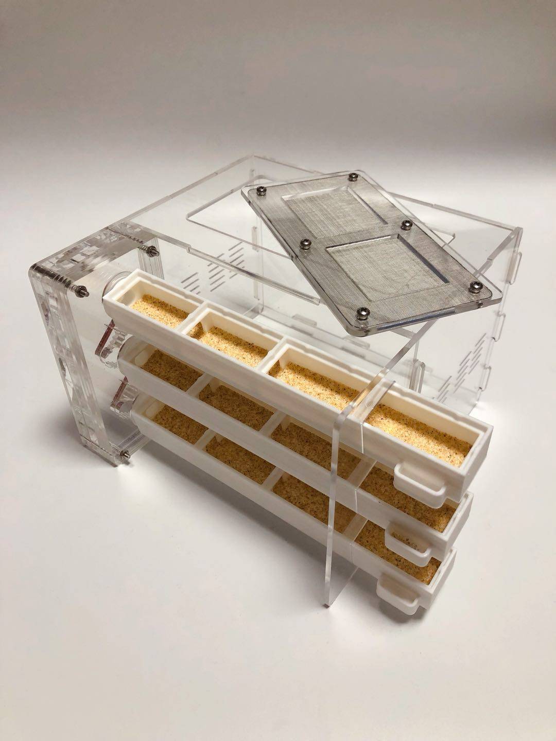 Bamboo nest test tube nest Ant Villa ant nest ant nest ant ant factory ...