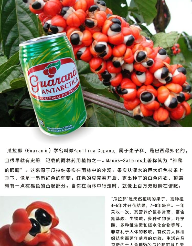 巴西瓜拉纳饮料,瓜拉纳饮料 - 伤感说说吧