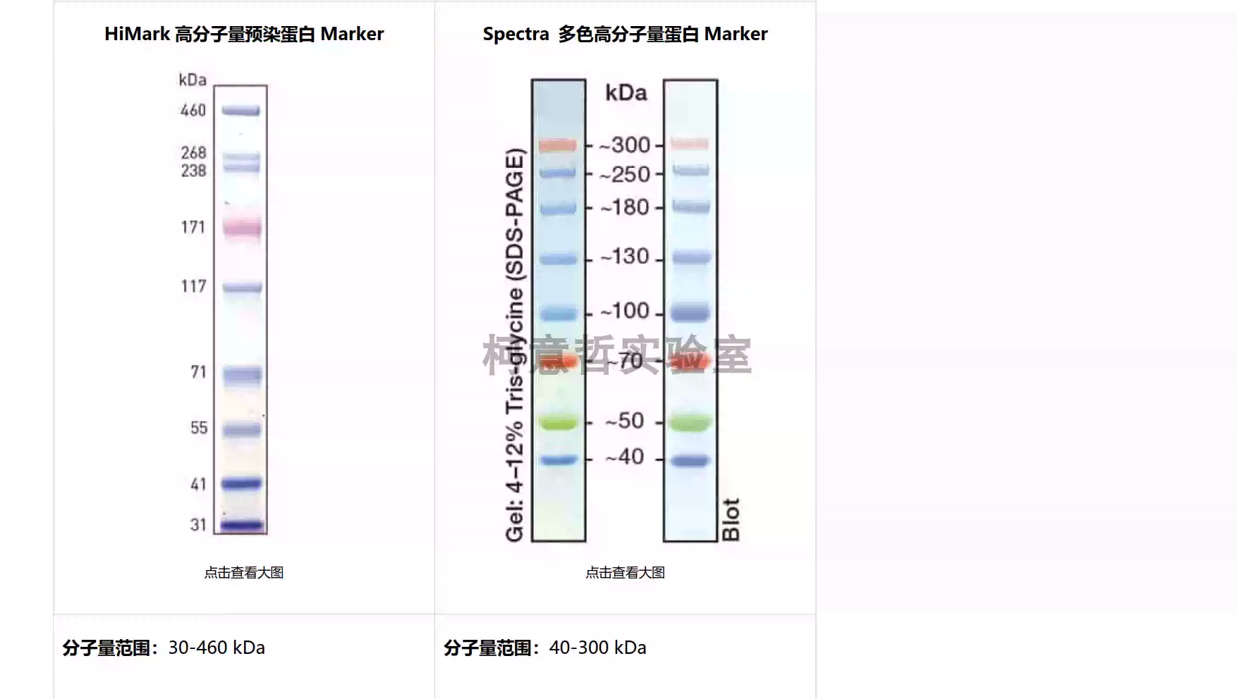 [Thermo赛默飞]蛋白Marker 26616 26619 26610 26612 26614 26630