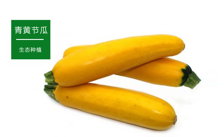 茄瓜和西葫芦是一种吗,西葫芦为什么叫茄瓜,河南的茄瓜是什么_大山谷图库