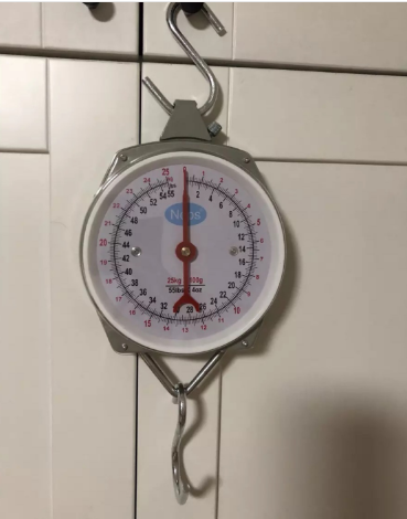 What are the advantages of genuine hook scale and spring scale sold ...