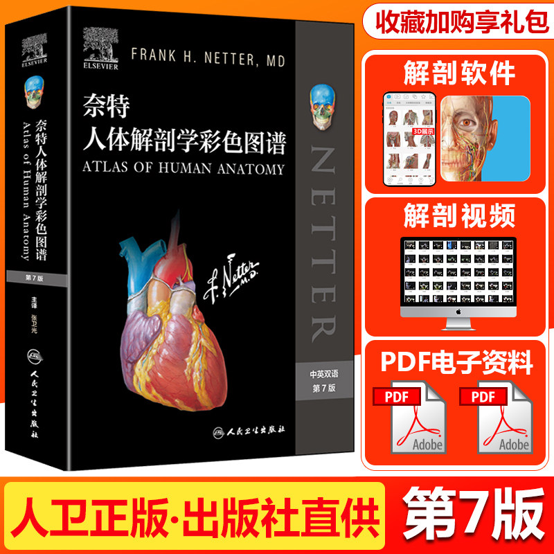 [USD 100.57] Instant Express delivery Knight Human Anatomy Color Map ...