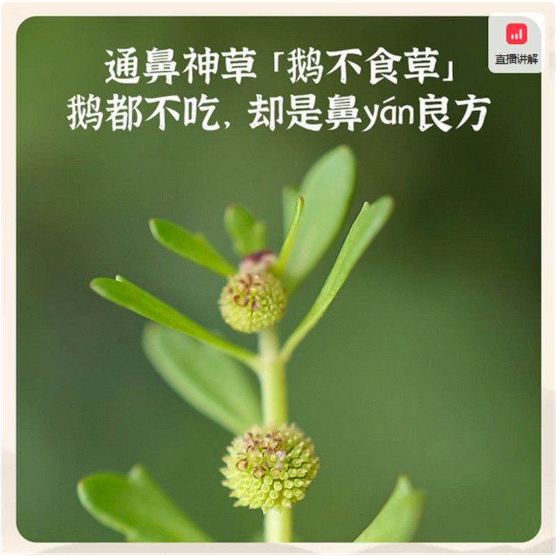 上海越平DDS-11A/DDS-307：实验室必备神器，精准测量电导率的不二之选！💡-电导率仪-淘宝百科网