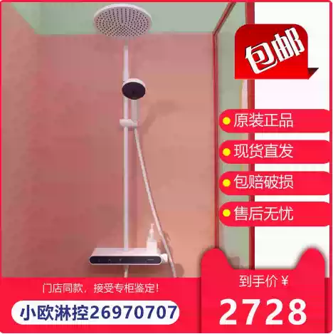 漢斯格雅入牆式局部銅材質恆溫花灑 搭配可旋轉升降花灑支架