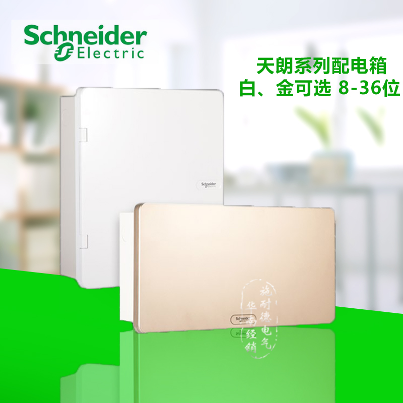 施耐德天朗配电箱空气开关强电箱8/12/16/18/20/24/36位家用室内