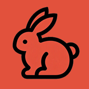 红兔子 居家保洁