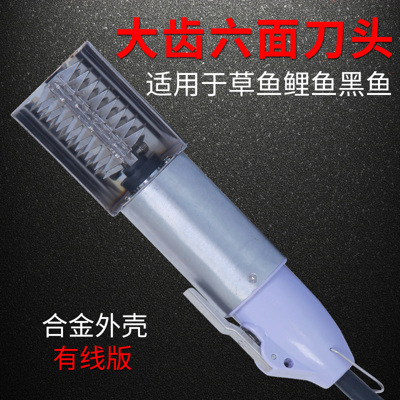 Scrap fish scales electric scraping scales home to go to artifacts ...