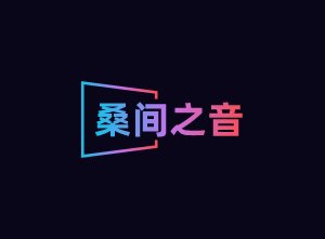 桑间之音乐器工厂