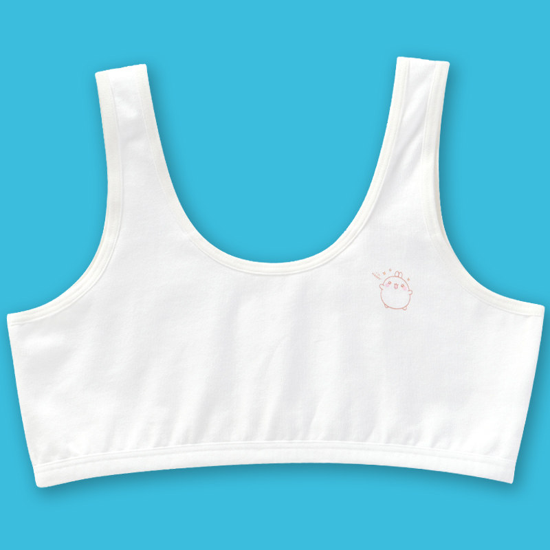 [USD 14.03] Girls developmental small vest 8-10 children's bra 9-12 ...