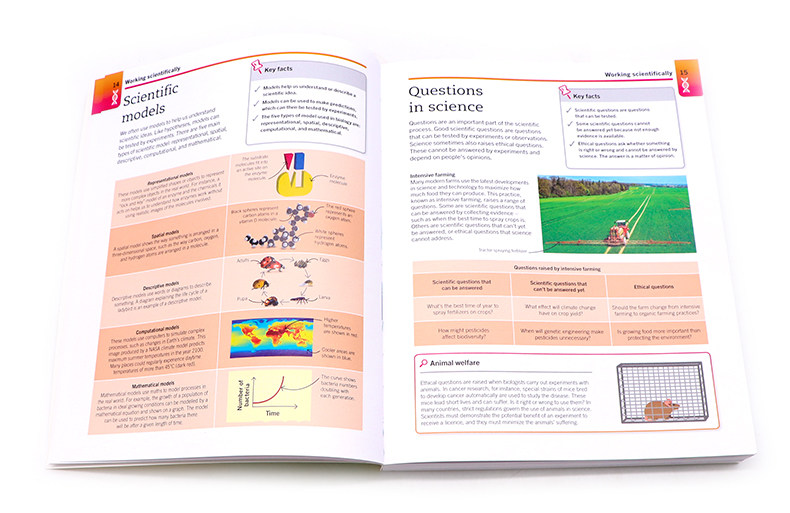 📚🚀DK儿童生物学百科 英文原版 Super Simple Biology：带你探索神奇的生物世界！🌟-科普读物/自然科学/技术类原版书-淘宝好物网