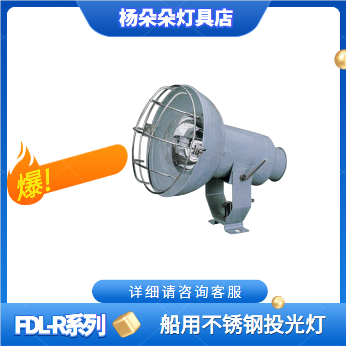 Marine Flood Light FDL-R12 R13 FDL-R14 300W 500W 1000W Stainless Steel ...