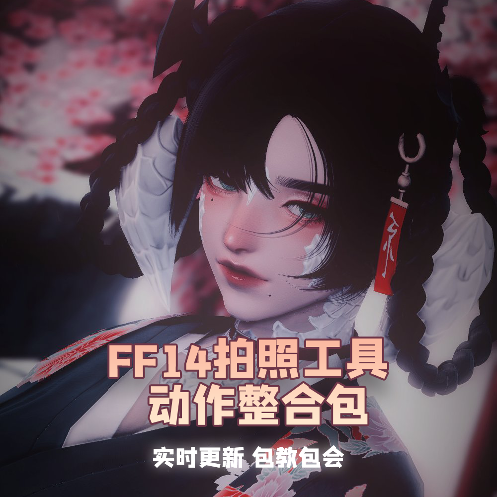 FF14 MOD美化滤镜与动作整合包 4K拍照工具与NPC召唤插件