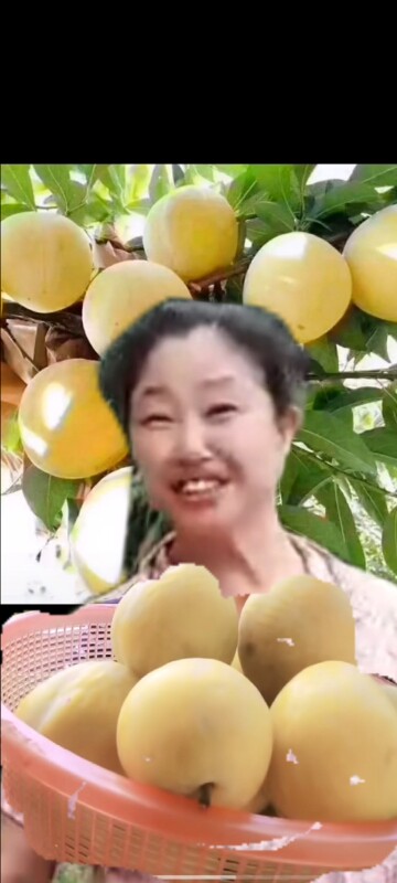 粤北乐昌九峰华秀农特产