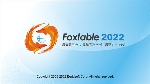 Foxtable狐表开发版，官方正版如何助力高效办公？🚀-开发-淘宝好物网