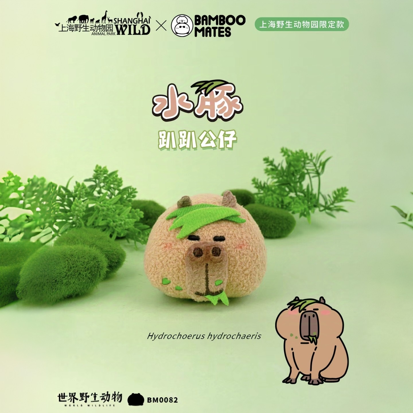 BAMBOOMATES X上海野生動物園聯名 吃草水豚趴趴毛絨公仔玩具鬆鬆