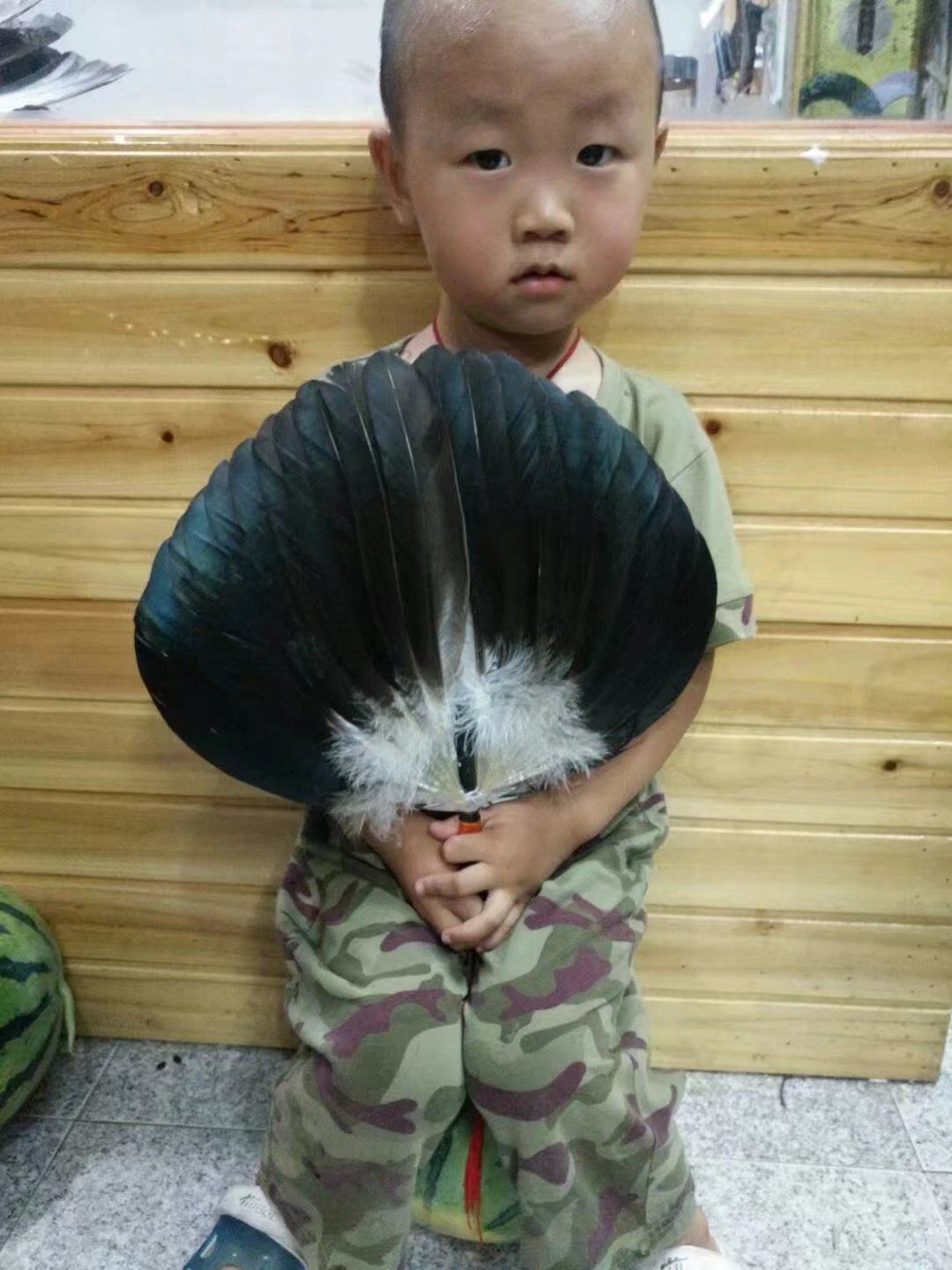 (Nanjing Pavilion) Gao Junte Feather Fan Chen Kee Fan Zhuang Flowers ...