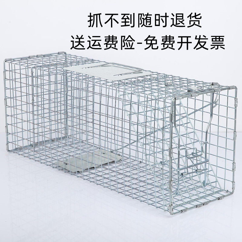 Fully automatic stray cat trap 🐾 Catch the little elf, the gentle ...