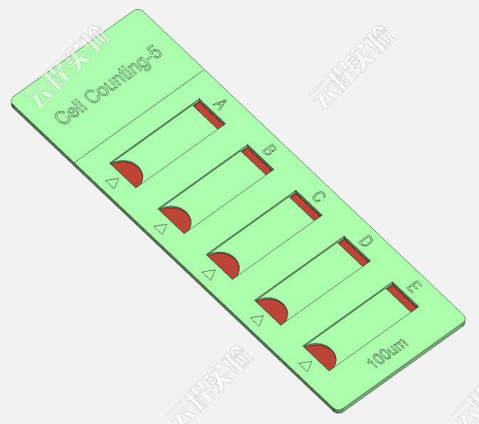 2孔5孔细胞计数板Biofount 适用赛默飞 伯乐 一次性细胞计数板-阿里巴巴