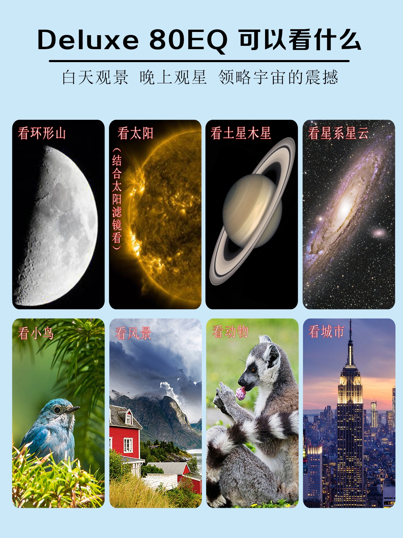星特朗80DX天文望远镜专业版观星土星深空高清高倍赤道仪EQ入门级-阿里巴巴