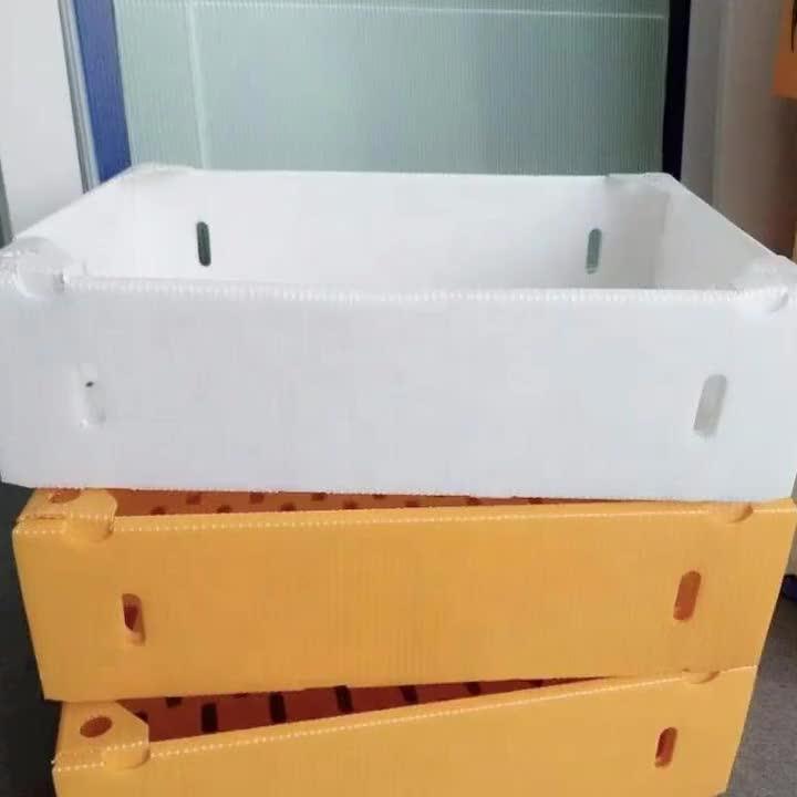 Pp Corrugated Seafood Box 2kg Shrimp Correx Plastic Box - Buy Seafood ...
