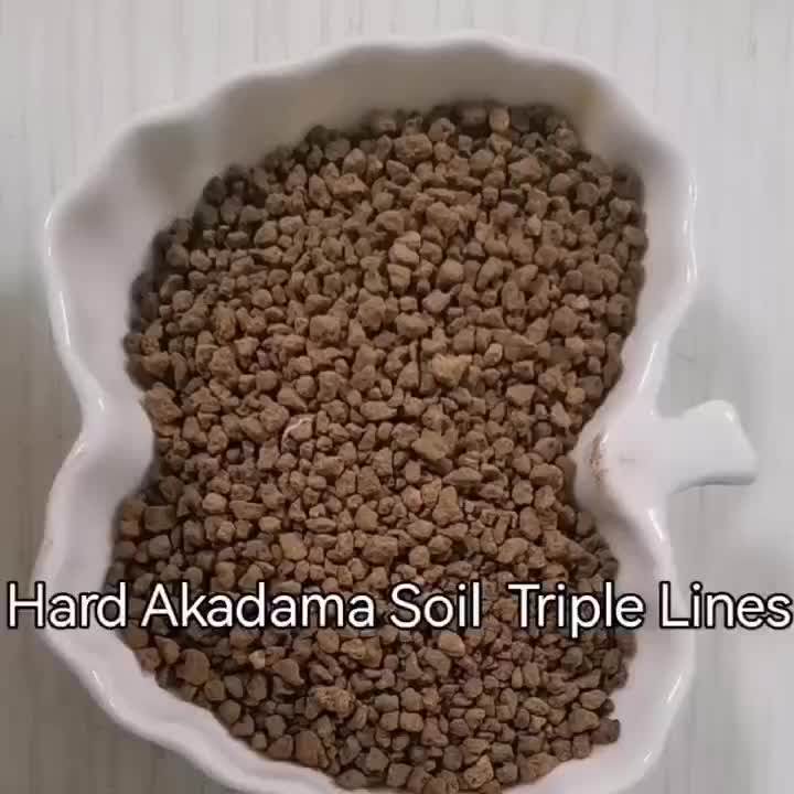 Hard Akadama For Saculens Akadama Bonsai Clay Soil For Bonsai Trees ...