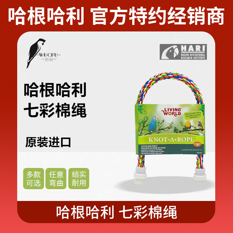 Parrot perch buying guide 💕 Special for small and medium-sized parrots 🦜